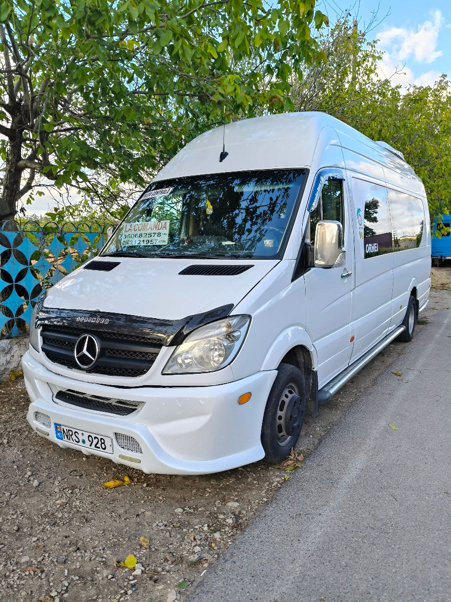 Mercedes Delfin 418 2008 г. с пробегом, Дизель, 19500