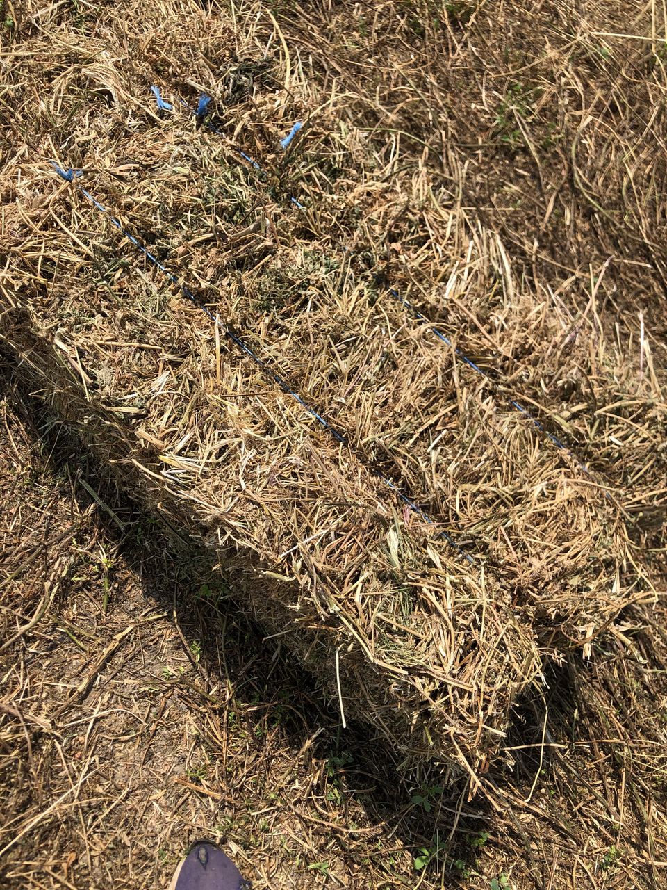 Vind baloți de lucerna