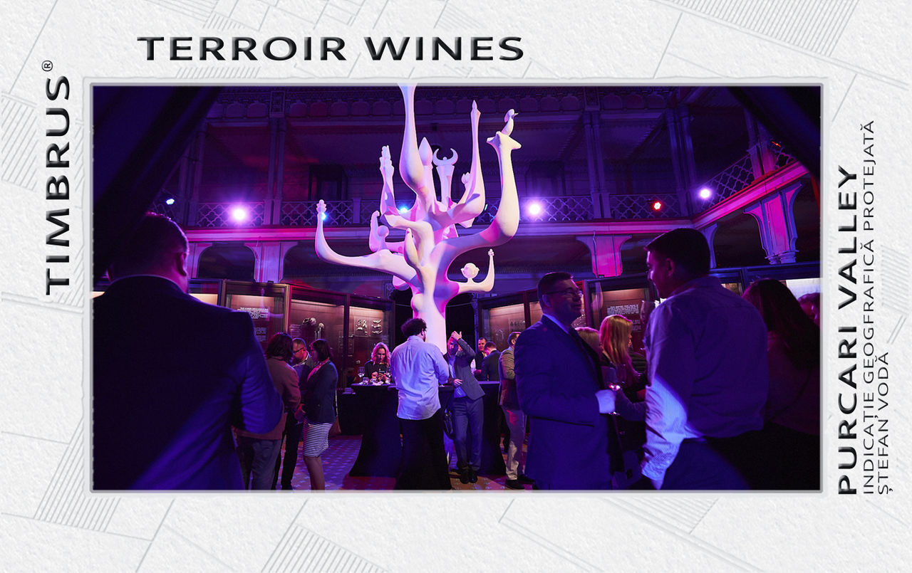 Timbrus Purcari Estate a lansat vinurile: Timbrus Terroir Wines