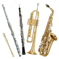 Instrumente de suflat cumpăra la preț mic în Chișinău, Moldova. Gamă ...