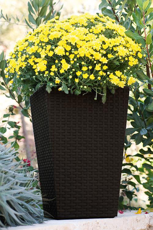Decor Keter Rattan Planter M Brown (228975) cumpăra la preț mic în ...