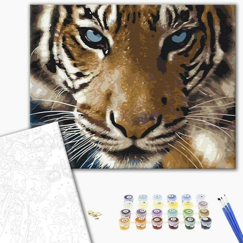 Tablou pe numere BrushMe BS8767FC 40х50 сm (fără cutie) Privirea de ...