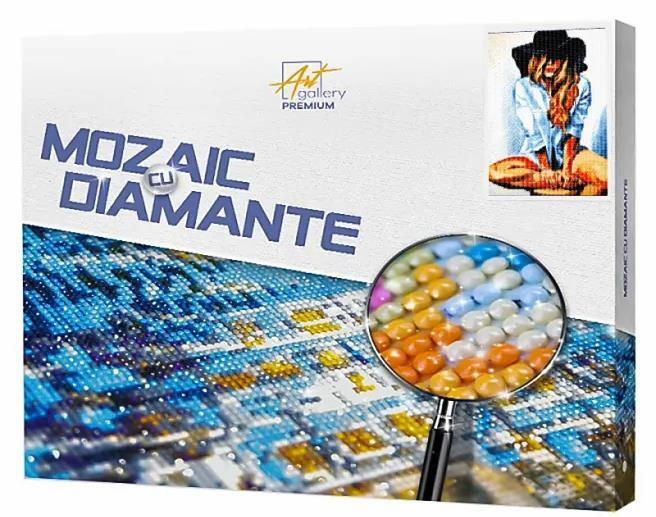 Tablou pe numere Art Gallery GA80790 Mozaic cu diamante Blonda misterioasa in pălărie 40x50cm ...