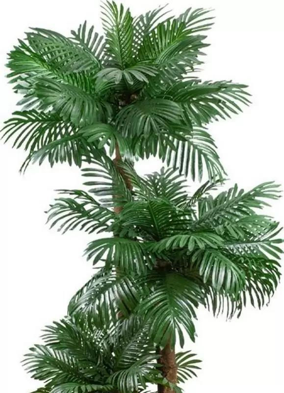 Decor Cilgin Copac artificial A006B Branched Palms 2m cumpăra la preț ...