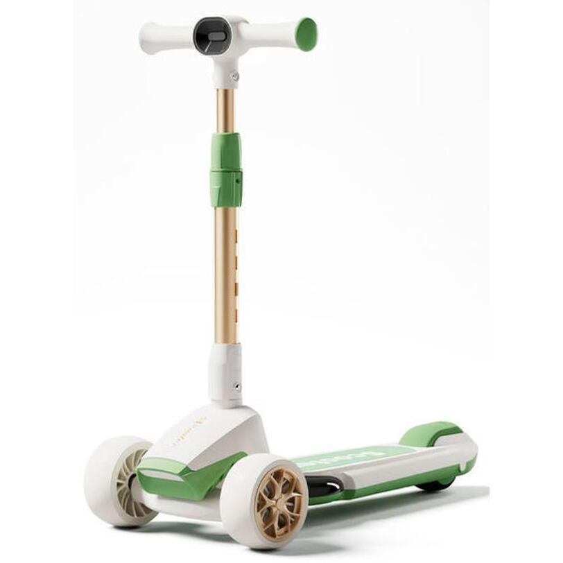 Самокат Richi 81063 Trotineta verde pentru copii (8106) купить по низкой цене в Кишинёве ...