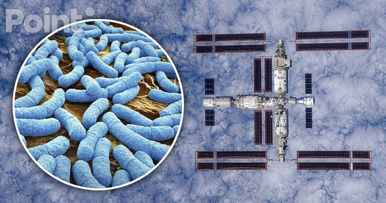 На китайской космической станции нашли неизвестный штамм микробов