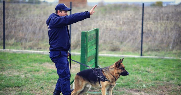 Peste 140 de străini au primit refuz de intrare în R. Moldova