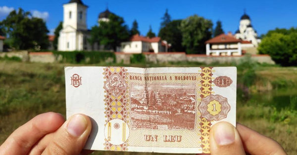 Concursul de design pentru simbolul leului, în plină desfășurare