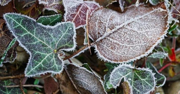 Meteo 4 decembrie 2022: Cer înnorat și fără precipitații în toată țara