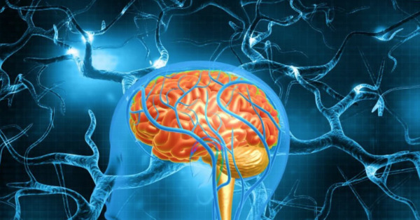 Regiunea din creier care ne ajută să spunem ce trebuie