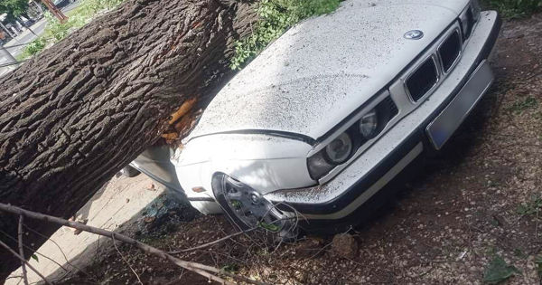 Un copac s-a prăbușit pe strada Mitropolit Dosoftei: O mașină, avaritată