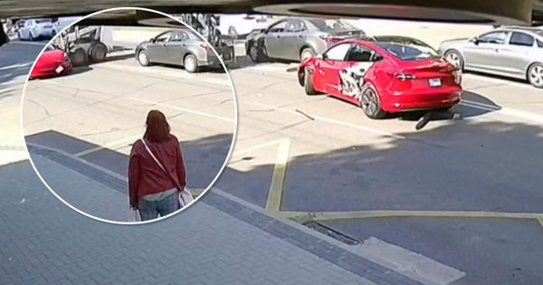 Momentul în care o Tesla este boțită de un încărcător Bobcat