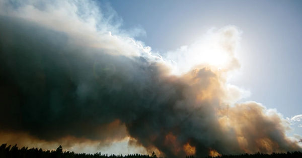 Cum afectează fumul de incendiu sănătatea creierului