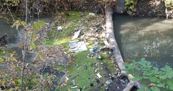 Agenția de Mediu: Bâcul este cel mai poluat râu din Republica Moldova