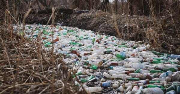 Alertă: Râul Bâc rămâne unul dintre cele mai poluate din R. Moldova