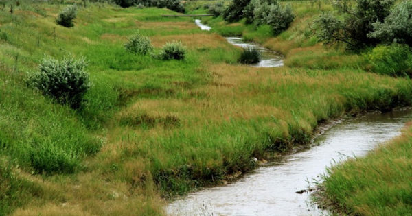 Ministerul Mediului: Debitul râurilor din Moldova a scăzut la jumătate