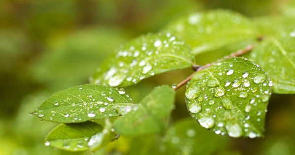 Meteo 18 mai 2024: Cer noros, ploi slabe și maxime de până la +20°C