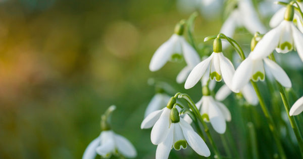 Meteo 1 aprilie 2023: Cer noros și maxime de până la +18°C