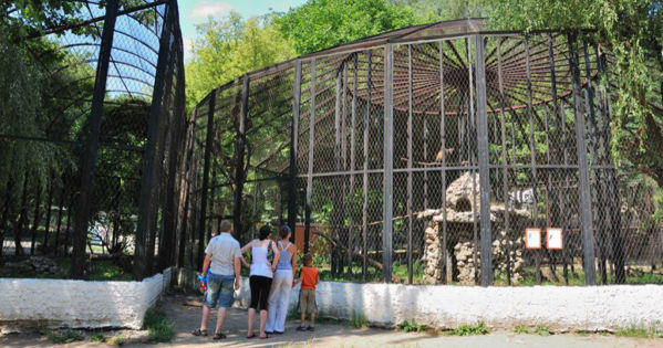 La Grădina Zoologică sunt reînnoite volierele pentru animalele răpitoare