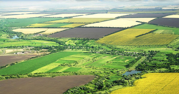 Trei terenuri vor fi transmise în proprietatea comunei Chetrosu