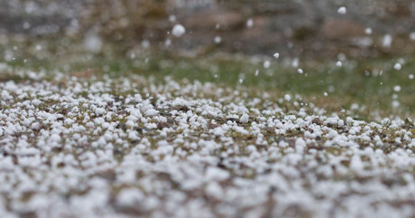 Peste 4.000 de hectare de culturi agricole, afectate: Precizările MAIA