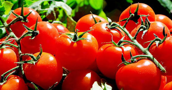 În piețele din R. Moldova au apărut pe tarabe și legumele autohtone