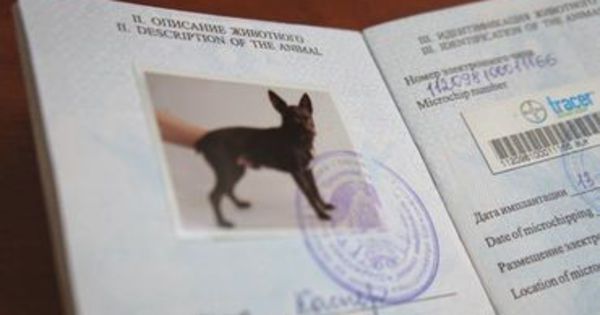 Toate animalele din Republica Moldova vor deţine paşaport