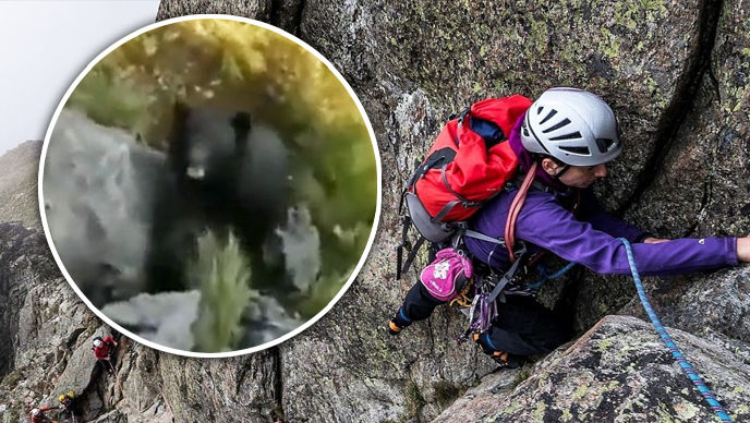 Japonia: Un alpinist se luptă cu mâinile goale cu un urs pe o stâncă