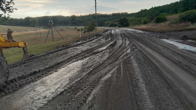 Consecințele ploii: Drumuri pline cu apă și noroi, dar și crengi căzute