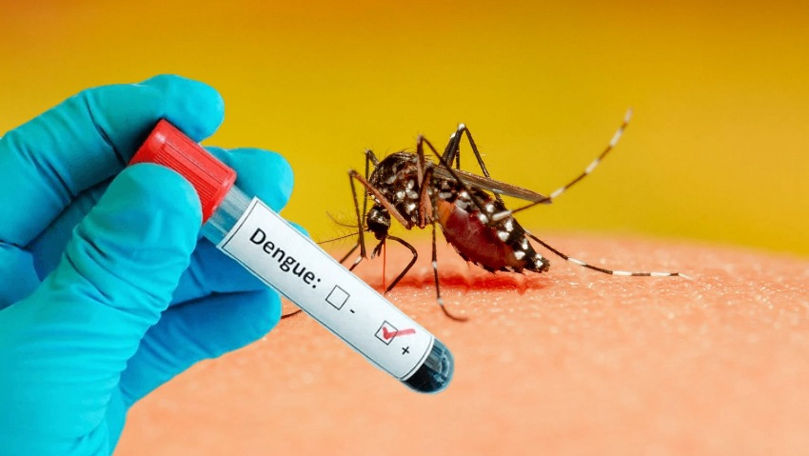 Un caz de febra Dengue, înregistrat în Moldova: Pacienta fusese în India