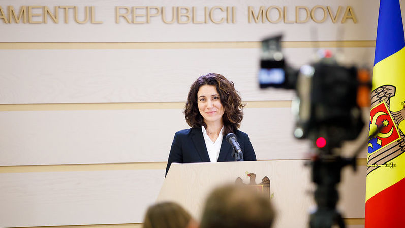 Stamate spune de ce n-a votat pentru ridicarea imunității Marinei Tauber