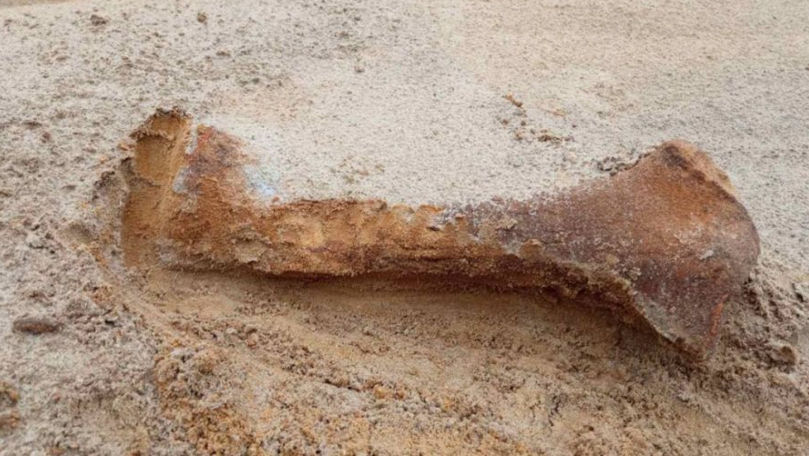 În stânga Nistrului au fost descoperite osemintele unui rinocer