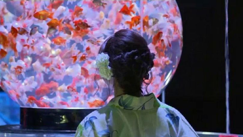 Cel mai mare acvariu din Tokyo atrage turiștii cu un proiect special