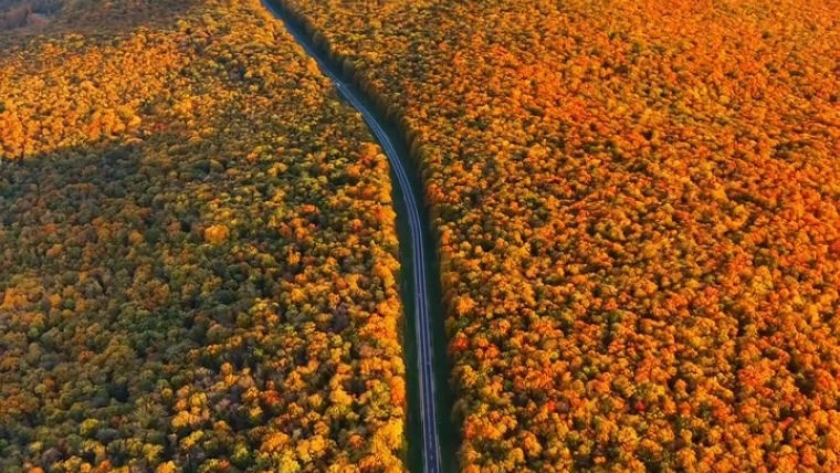 Codrii Moldovei încântă prin culorile lor de toamnă