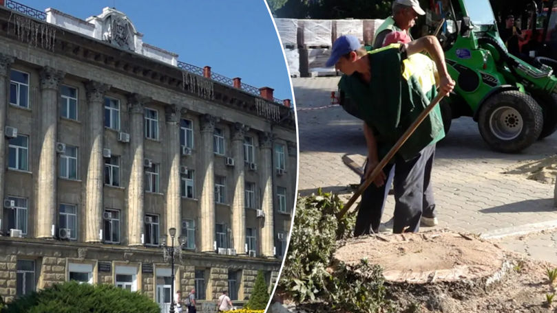 Doi copaci din Bălți, defrișați. Bălțenii au rămas nedumeriți