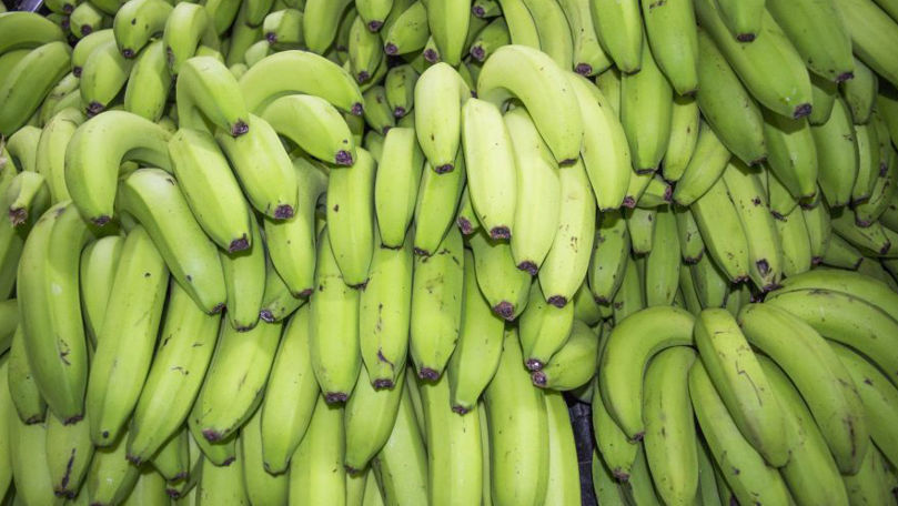 Ce efecte neștiute au asupra organismului bananele verzi