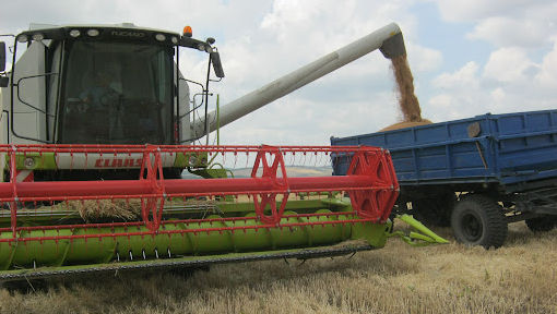 Secerișul grâului este în toi pe câmpurile din țară. Ce spun fermierii