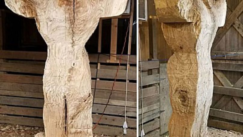 Celebrul Arnold Schwarzenegger, sculptat din tulpina unui copac