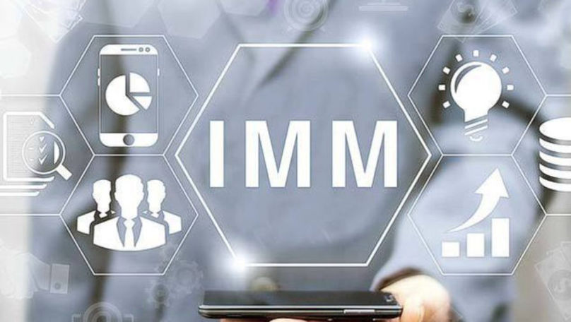 Votat în prima lectură: Numărul de firme cu statut de ÎMM va crește