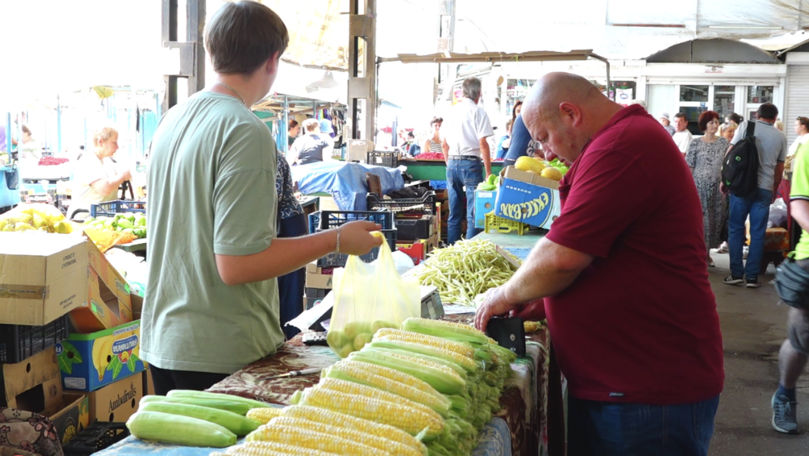 Porumbul dulce a apărut pe tarabe. E crescut pe câmpurile din Sângerei