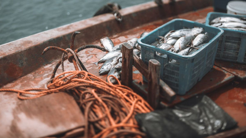Spionajul rus, în creștere lângă Norvegia: Agenții se dau drept pescari ...