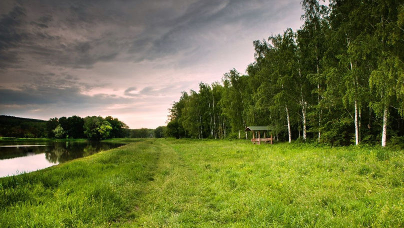 Ministerul Mediului lansează o campanie de salubrizare a pădurilor