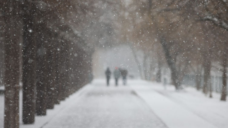 Cod galben de ninsori și ger puternic în București și sudul României