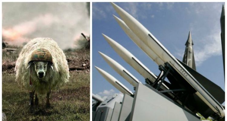 O turmă de oi pune în pericol securitatea unei baze militare americane ...