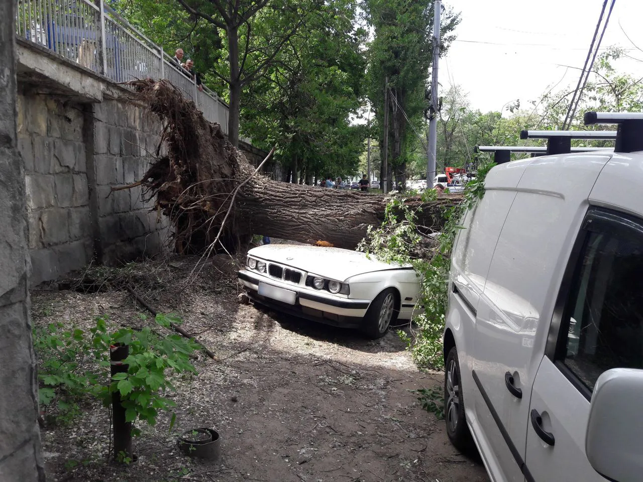 Un copac s-a prăbușit pe strada Mitropolit Dosoftei: O mașină, avaritată