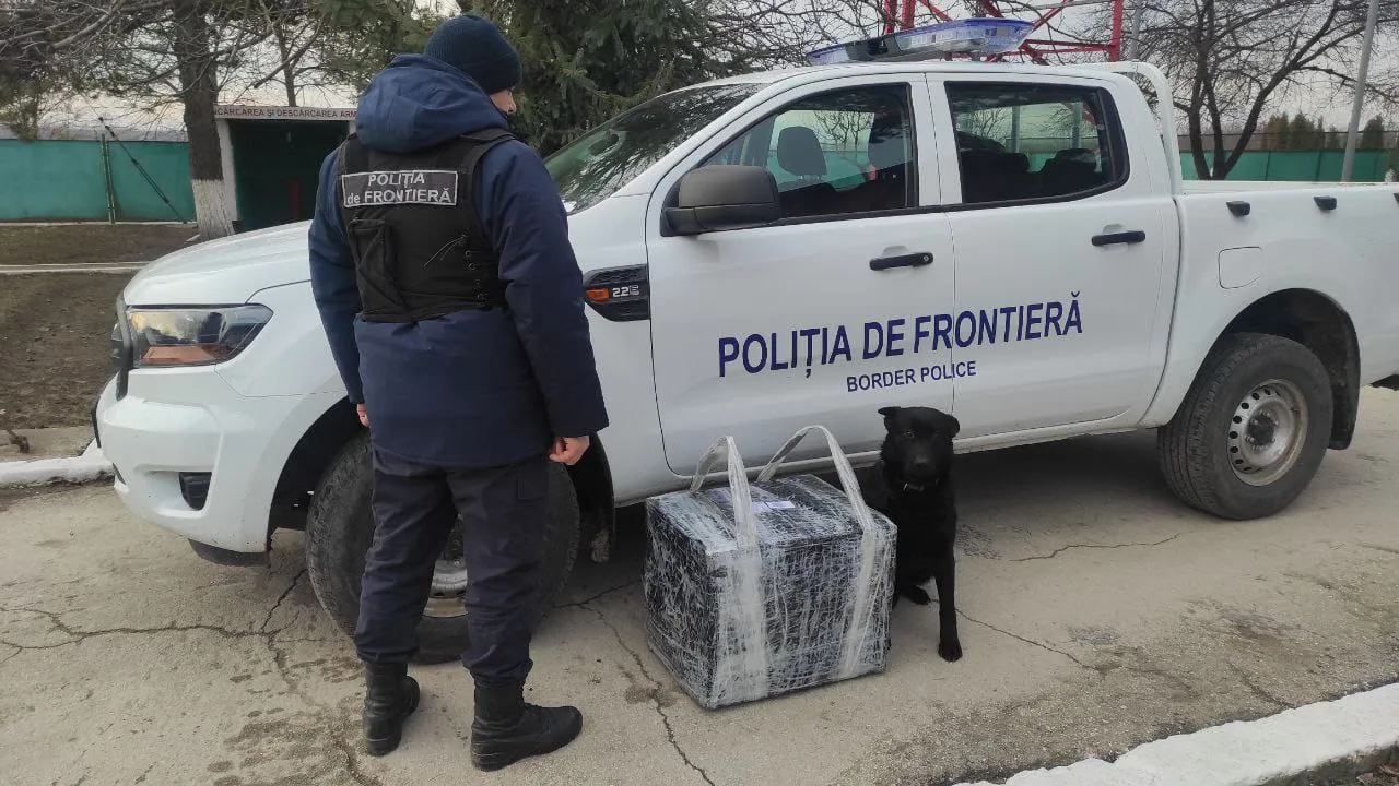 Circa 2.500 de pachete de țigări, ridicate la frontiera moldo-română