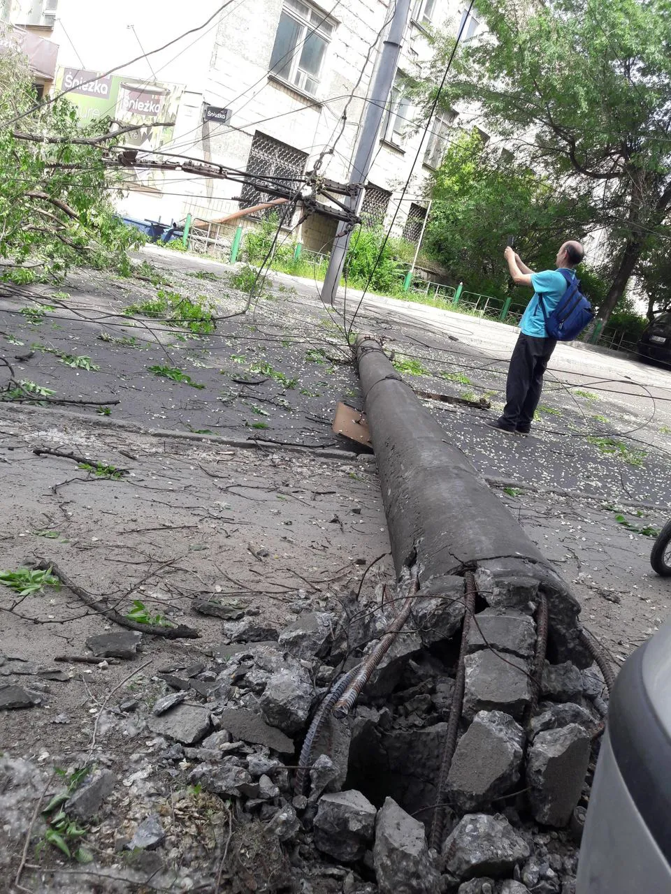 Un copac s-a prăbușit pe strada Mitropolit Dosoftei: O mașină, avaritată
