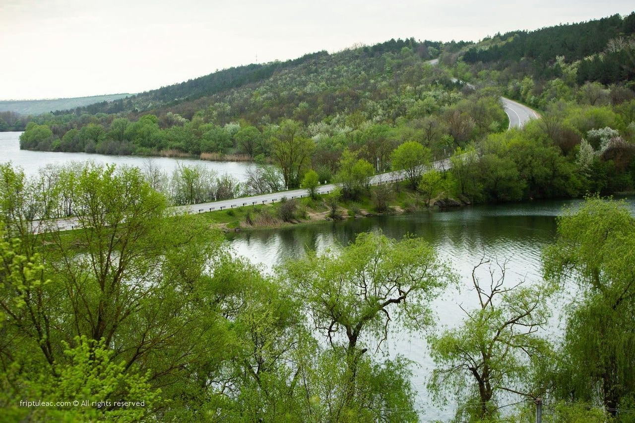 Cum arată satul de pe cea mai mare insulă din Moldova: Loc fantastic