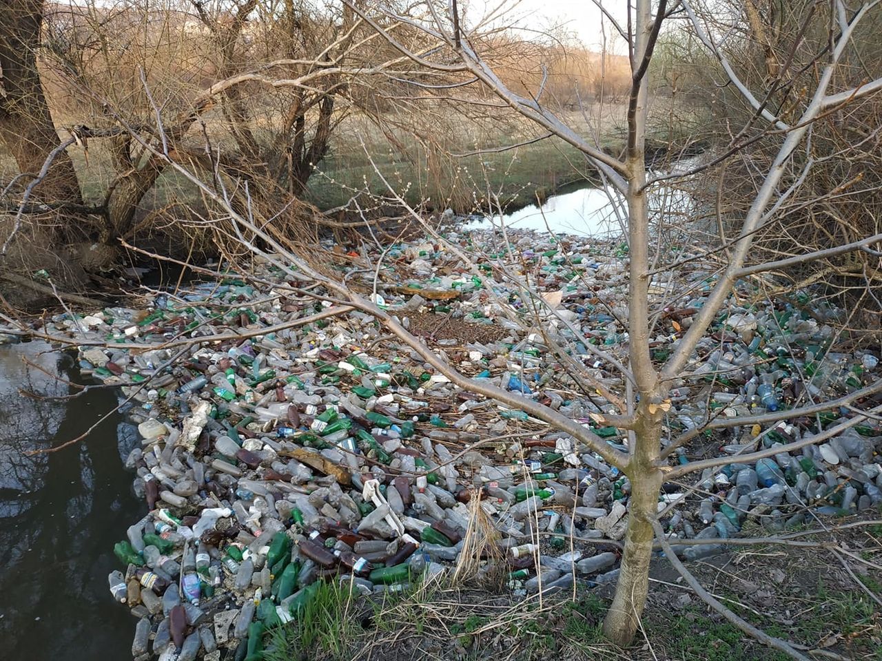 Insulă de plastic, descoperită de internauți pe râul Bâc